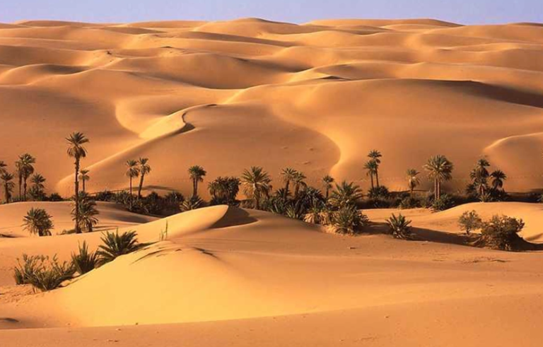 Sahara Desert | Facts